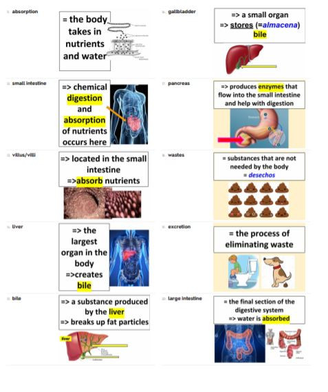 Biology Dictionary - Amped Up Learning