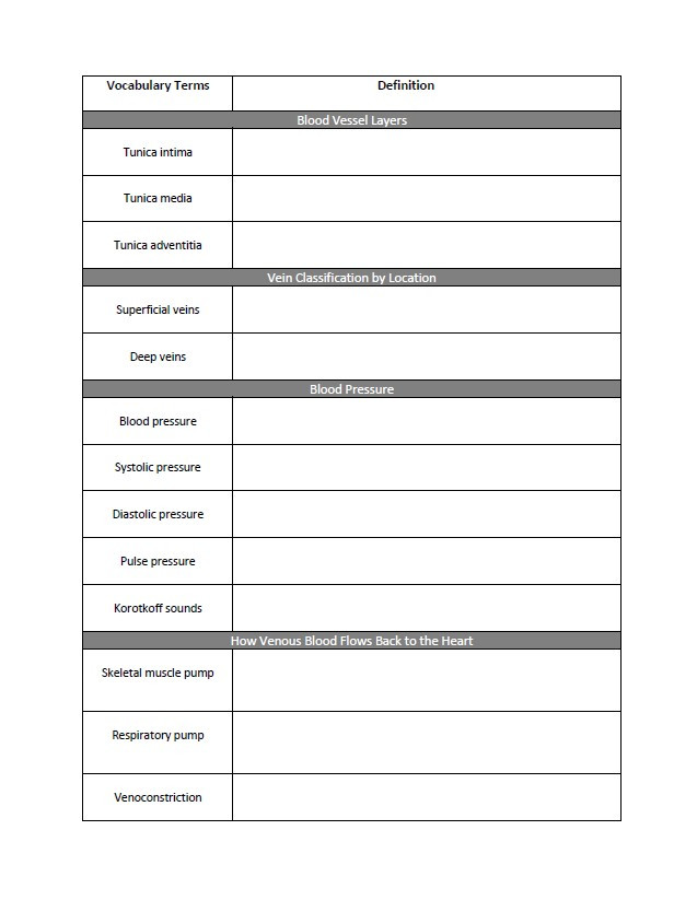Systemic Circulation Glossary Quest Activity - Amped Up Learning