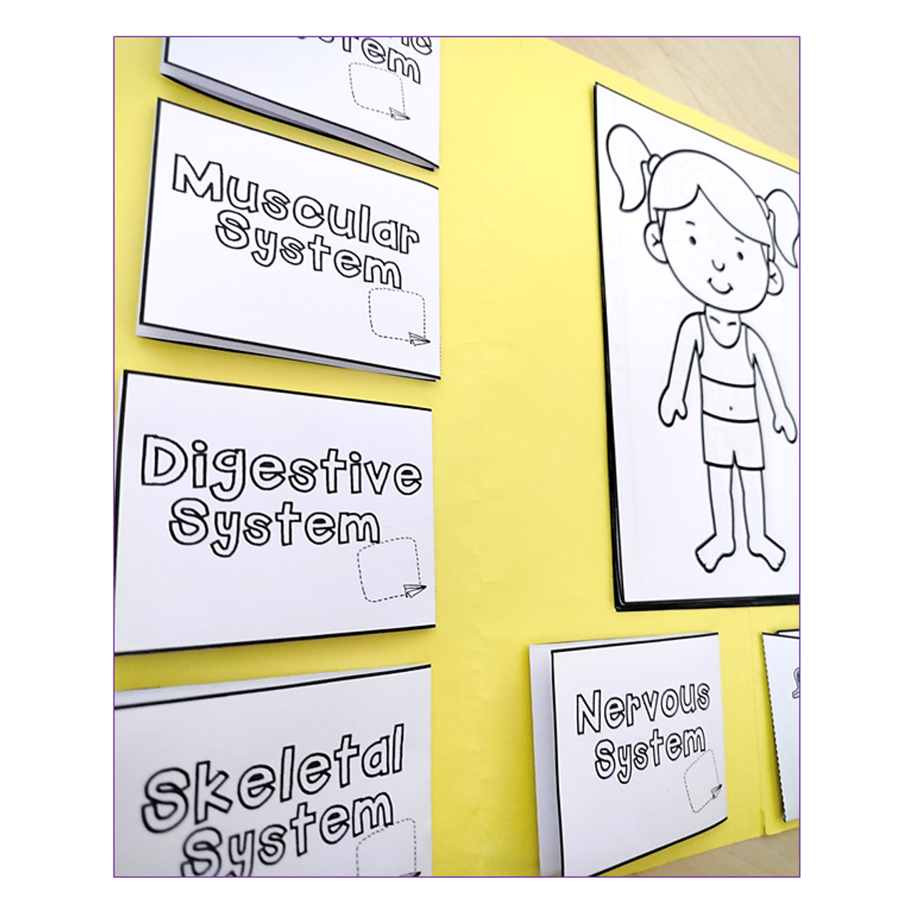 Human Body System and Some Main Organs Lapbook