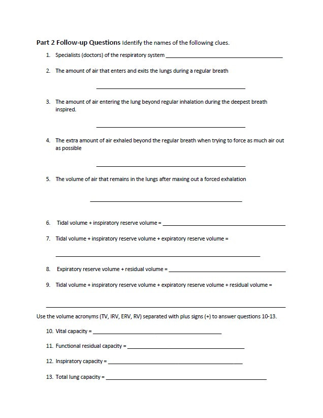 Lung Volume and Capacity Graph Analysis Worksheet
