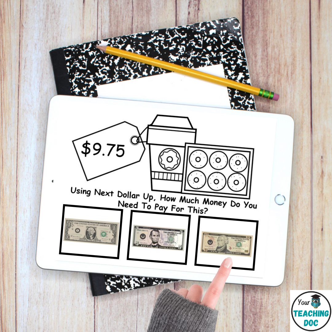 Winter Mixed Money Math Life Skills PLUS Task Cards 3 Levels
