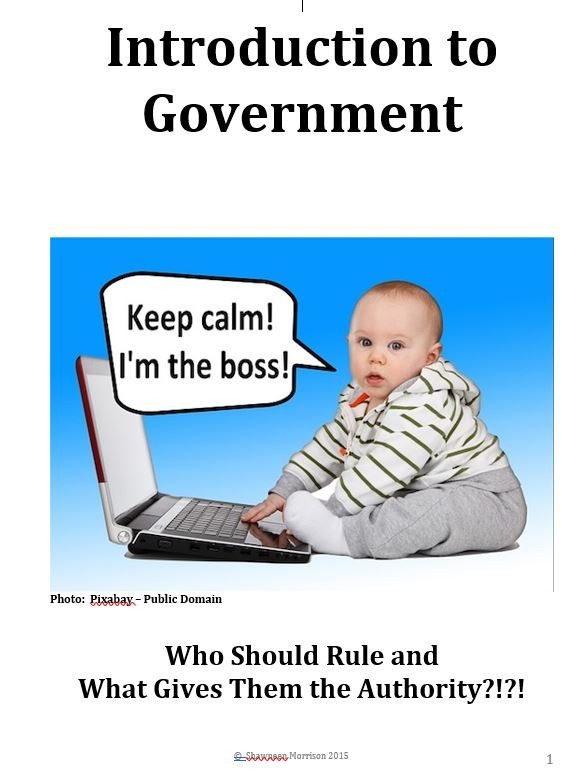 Introduction to Government: What is Good, Effective Government? - Amped ...