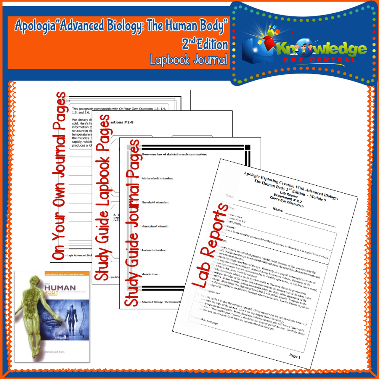 Apologia's Exploring Creation With Advanced Biology: The Human Body 2nd ...