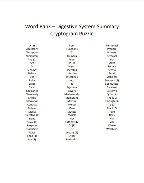 Digestive System Cryptogram Puzzle - Amped Up Learning