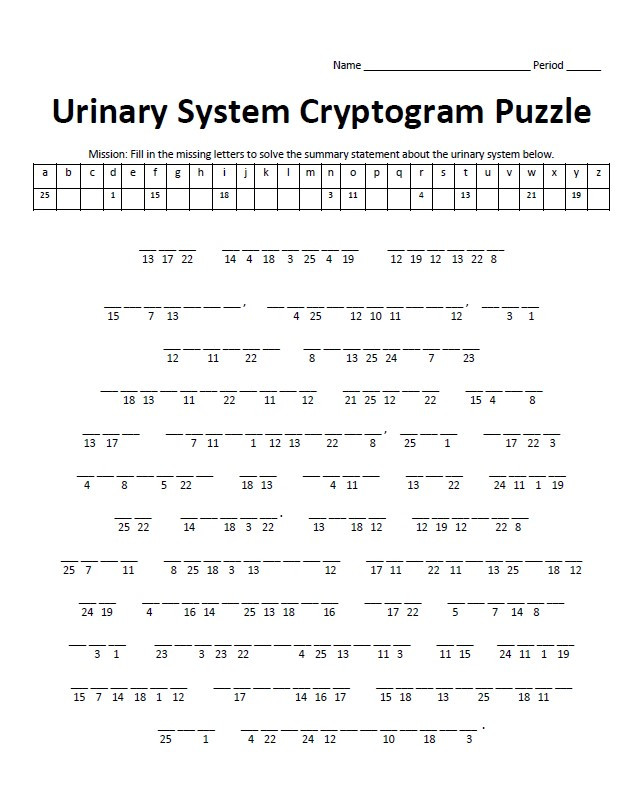 Urinary System Cryptogram Puzzle - Amped Up Learning