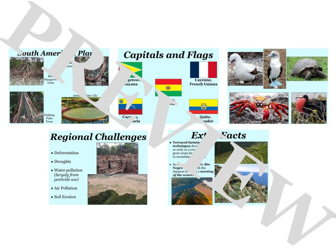 South America World Geography BUNDLE