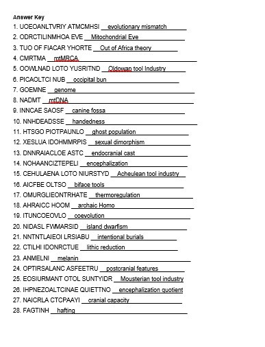 Anthropology Vocabulary Word Scrambles Bundle - Amped Up Learning