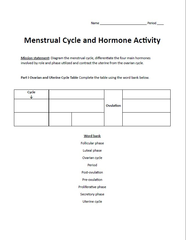 Menstrual Cycle and Hormone Activity - Amped Up Learning