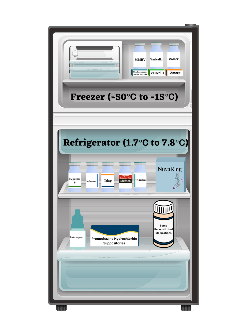 Pharmacy Illustrations - Series 1 Vitamins and Refrigerated Products