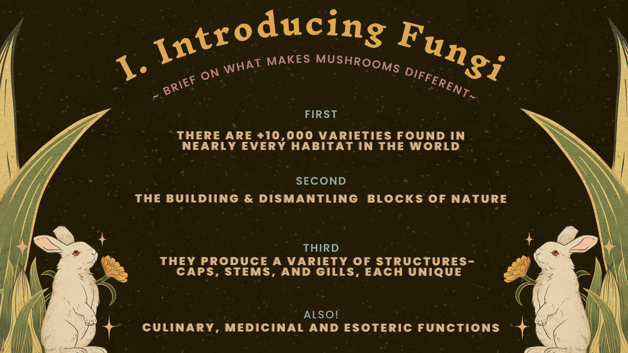 All about Mushrooms, Fungi & Foraging PPT Download - Environmental ...