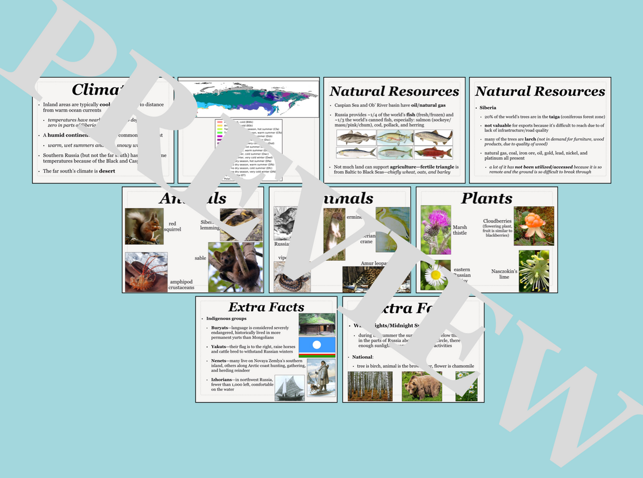 Russia's Physical Geography Overview