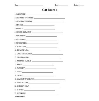 Word Scramble Bundle for Small Animal Science - Amped Up Learning