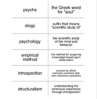 Psychology Vocabulary Review Bundle - Amped Up Learning