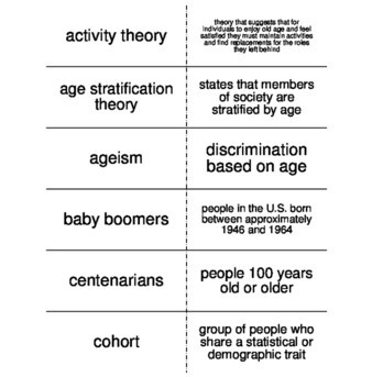 Sociology Vocabulary Review Bundle - Amped Up Learning