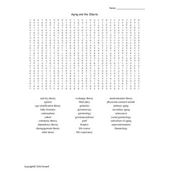 Sociology Vocabulary Review Bundle - Amped Up Learning