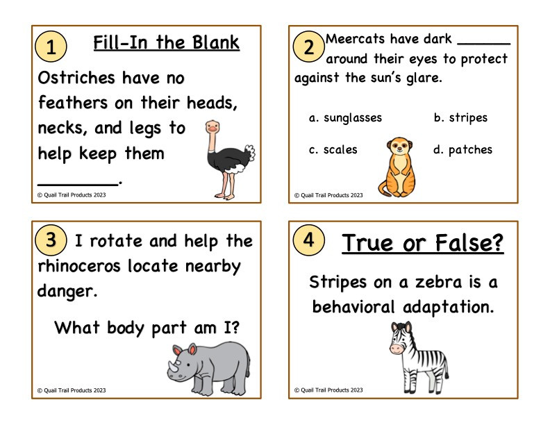 Animal Adaptations on the Savanna Activities and Worksheets