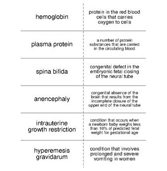Nutrition and Health Science Vocabulary Flash Cards - Amped Up Learning