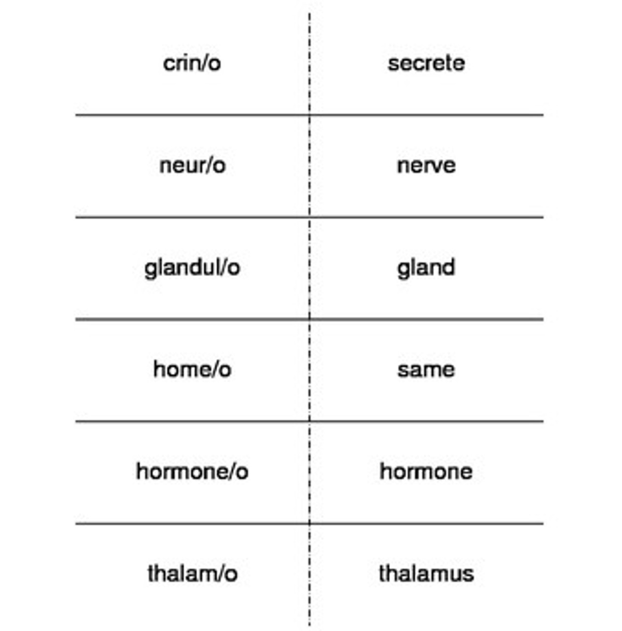 Medical Language Vocabulary Review Flash Cards Bundle