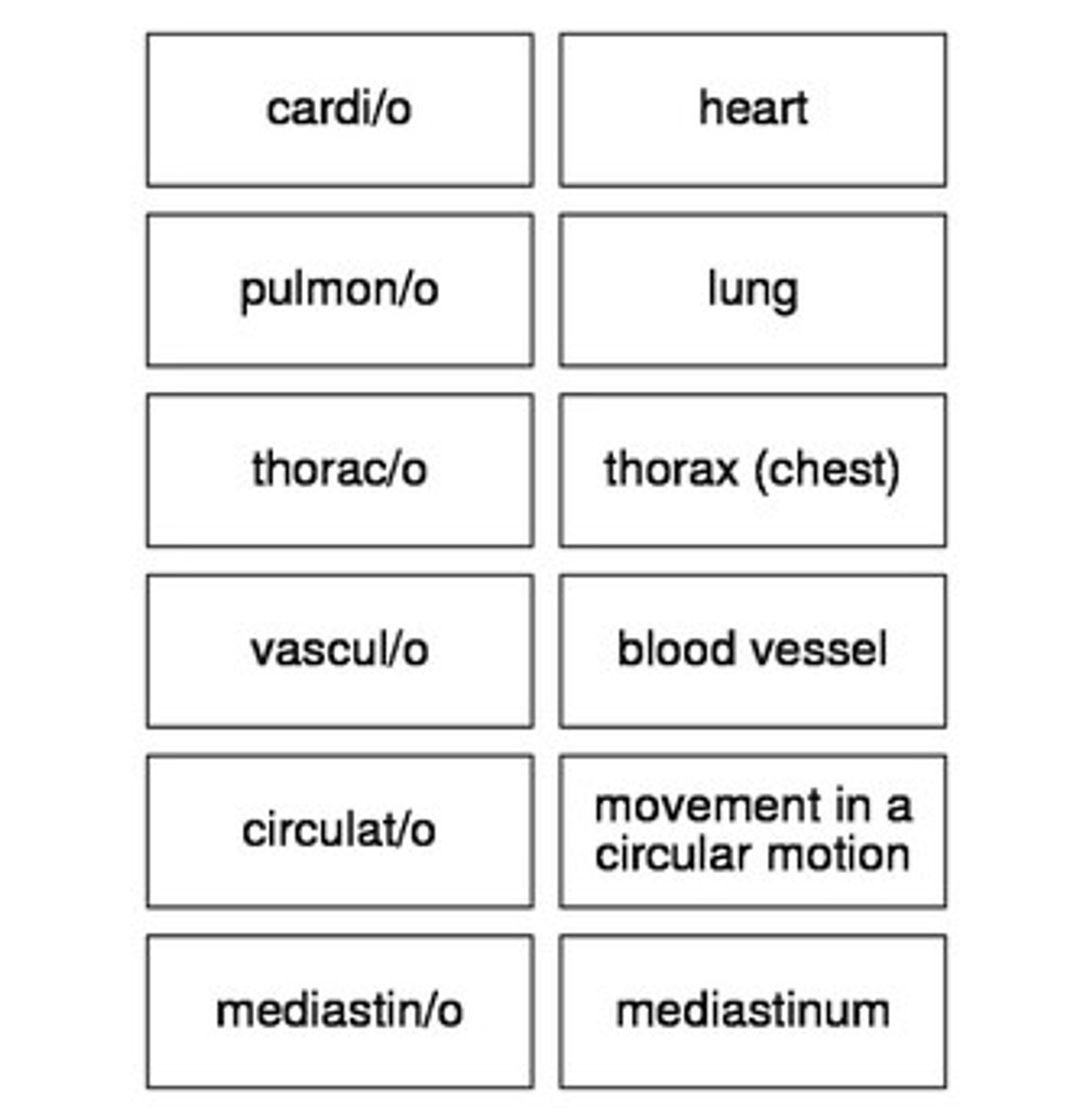 Medical Language Vocabulary Review Flash Cards Bundle - Amped Up Learning