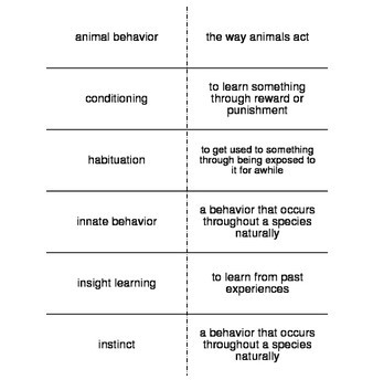 Middle School Life Science Vocabulary Review Flash Cards Bundle - Amped ...
