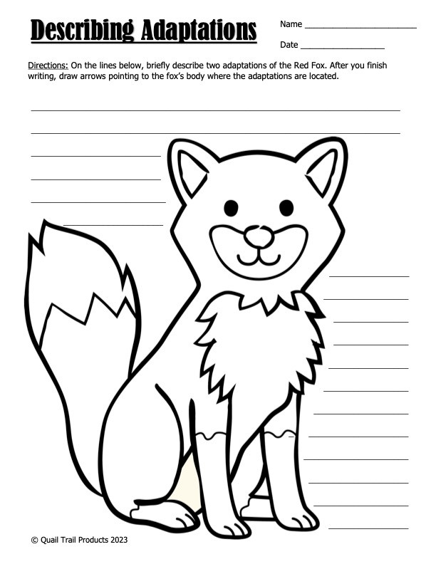 Animal Adaptation Clipart