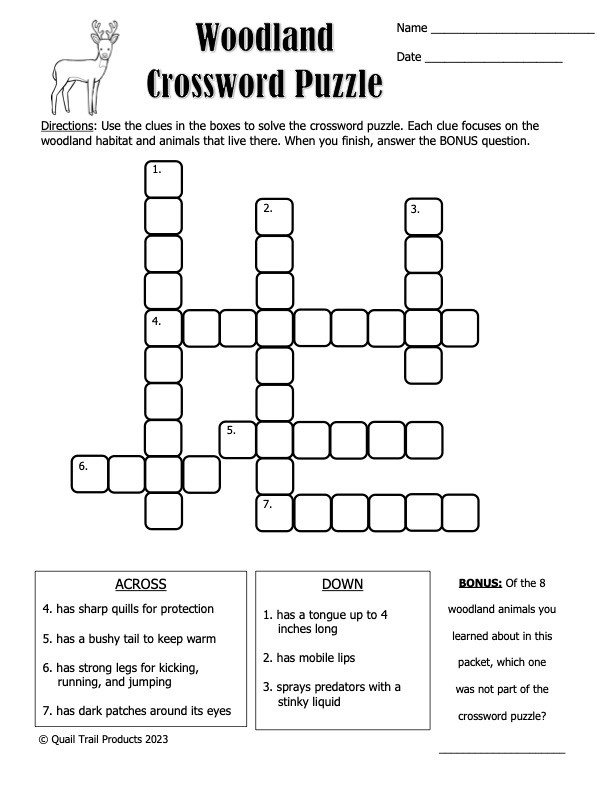 Animal Adaptations in the Woodland Habitat Activities and Worksheets