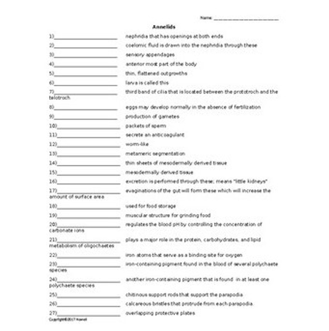 Invertebrate Biology Vocabulary Review Quiz or Worksheet Bundle - Amped ...
