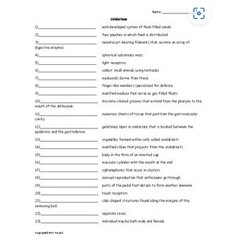 Invertebrate Biology Vocabulary Review Products Bundle - Amped Up Learning