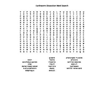 Dissection Word Search Bundle - Amped Up Learning