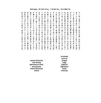 Biology Vocabulary Word Searches Bundle - Amped Up Learning