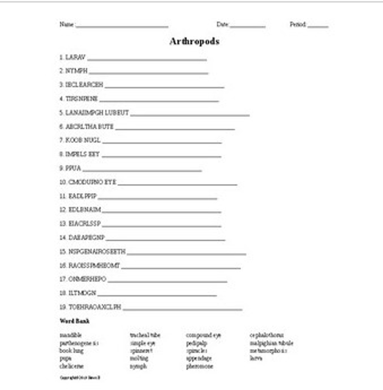 Biology II Vocabulary Word Scrambles Bundle - Amped Up Learning