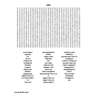 Biochemistry Vocabulary Word Search Bundle - Amped Up Learning