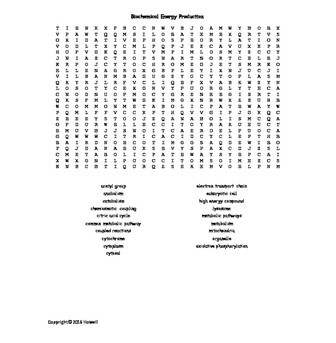 Biochemistry Vocabulary Handouts Bundle - Amped Up Learning