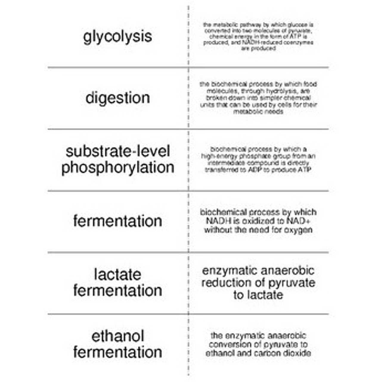 Biochemistry Vocabulary Handouts Bundle - Amped Up Learning