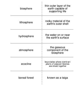 Zoology Vocabulary Flash Card Bundle - Amped Up Learning