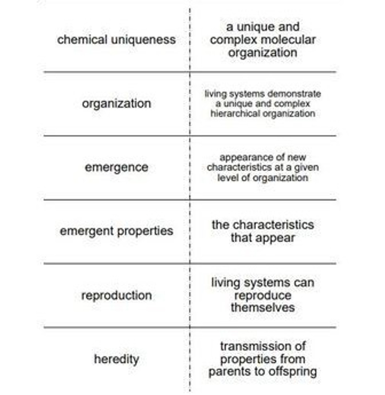 Zoology Vocabulary Flash Card Bundle - Amped Up Learning