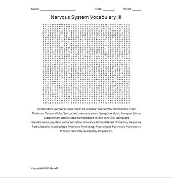 Nervous System III Word Search for a Medical Terminology Course - Amped ...