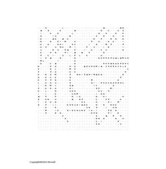 Urinary System I Word Search for a Medical Terminology Course - Amped ...