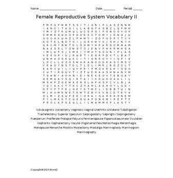 Female Reproductive System II Word Search for a Medical Terminology ...
