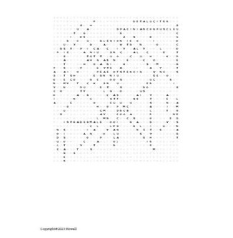 Integumentary System Vocabulary II Word Search for Medical Terminology ...