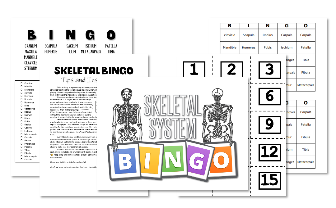 Skeletal System BINGO! - Amped Up Learning