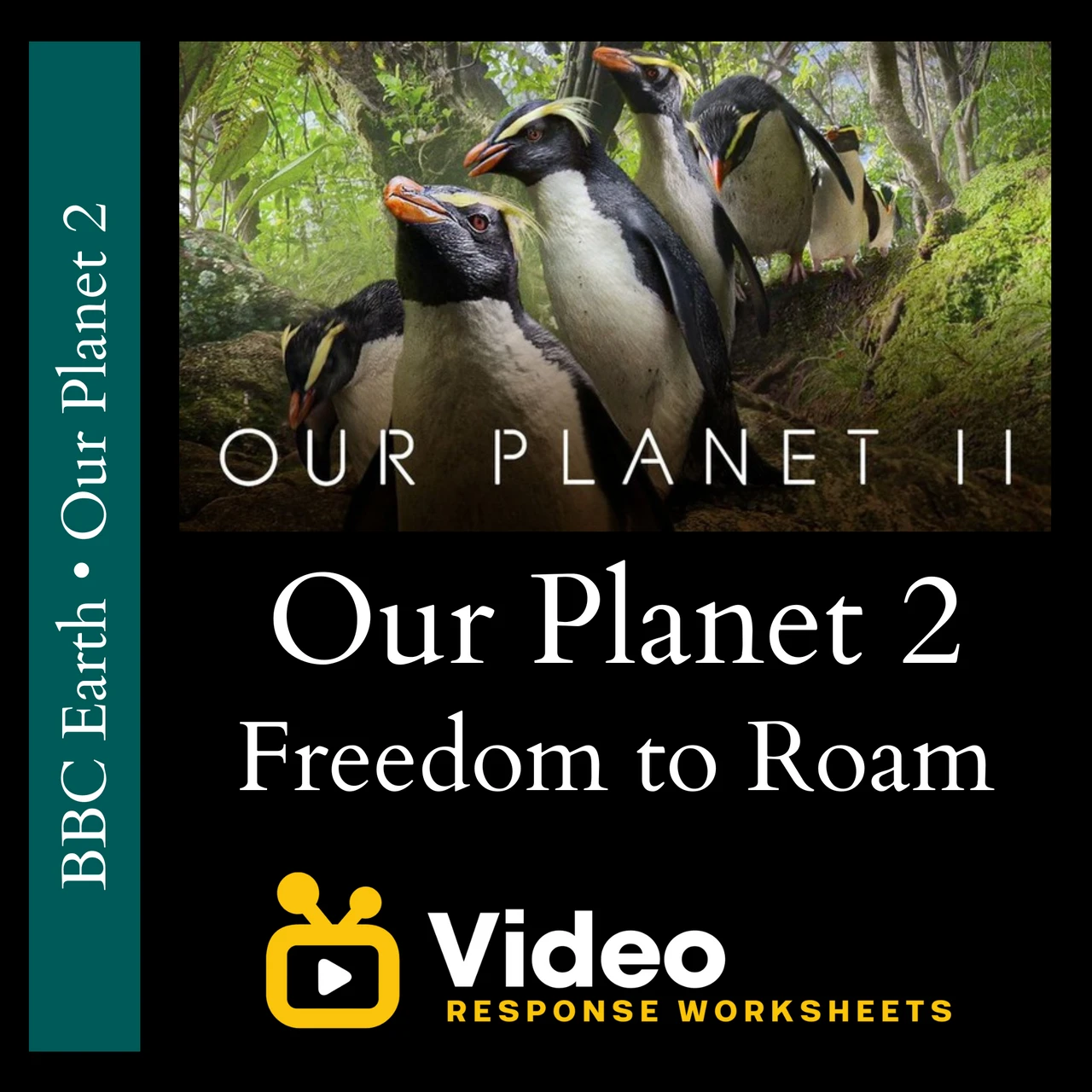 Our Planet 2 - Episode 4 - Freedom to Roam - Video Response Worksheet ...