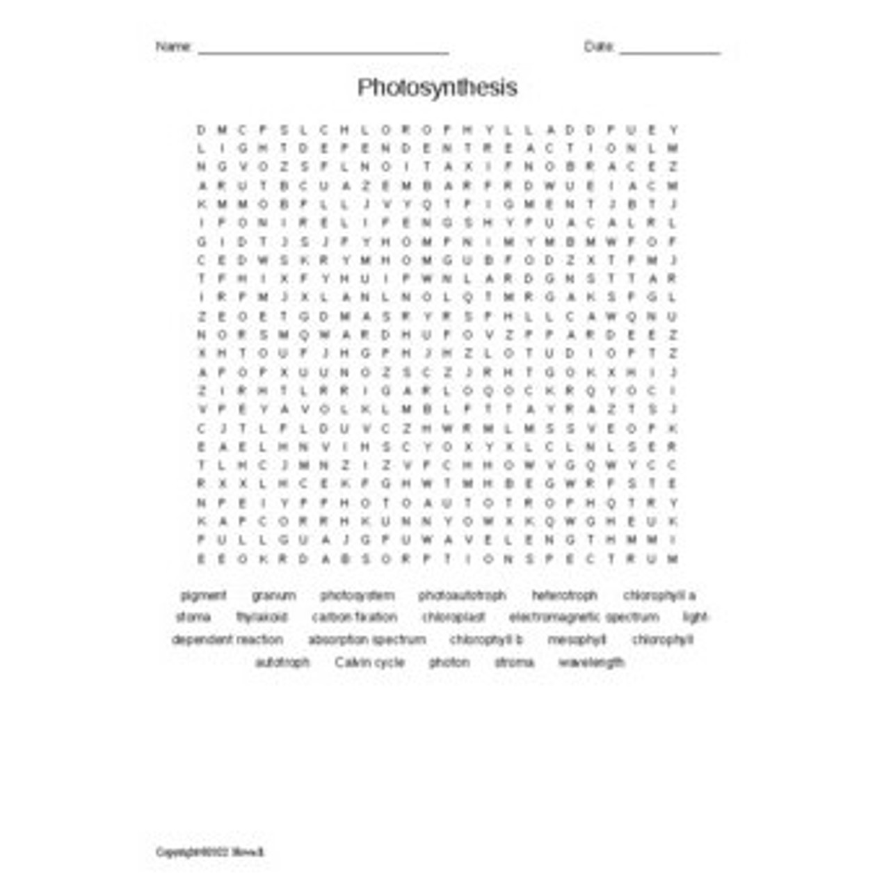 Photosynthesis Word Search for an Introduction to Biology Course ...