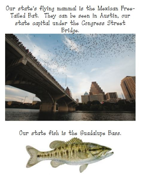 Texas Fact Book - Amped Up Learning