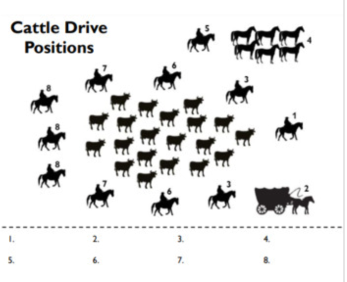 Texas Cowboys and Cattle Drives Notes - Amped Up Learning