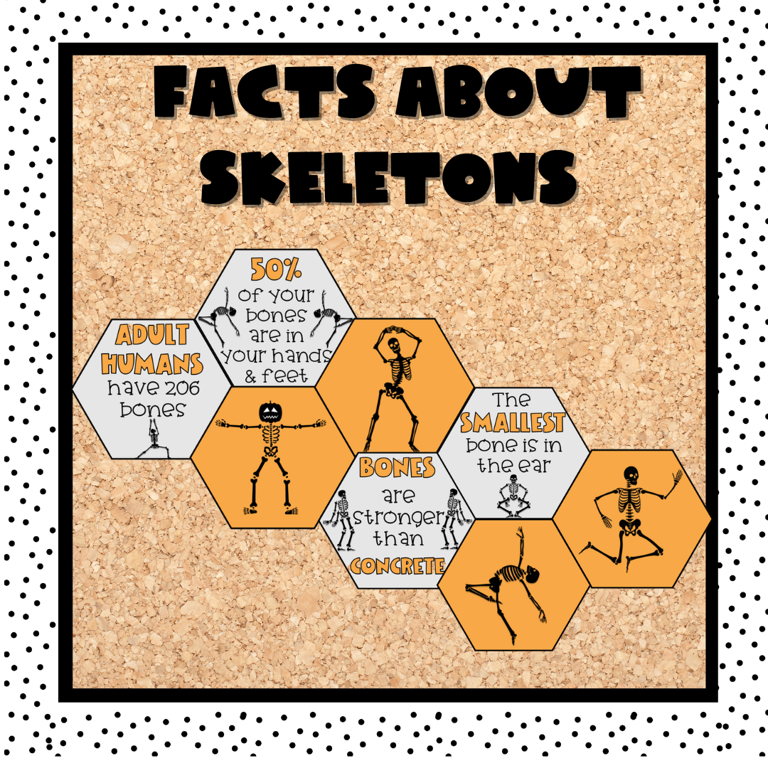 Health Halloween Bulletin Board | Spooky Healthy Skeletons