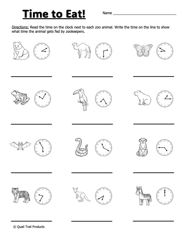 Grade 2 MATH Worksheets | Zoo Theme
