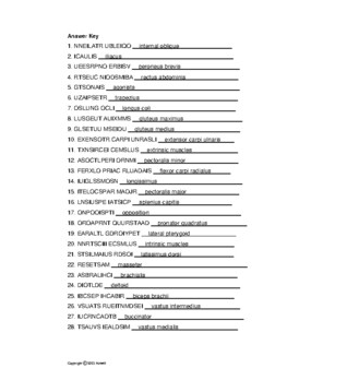 Muscles of the Body Vocabulary Word Scramble for Anatomy - Amped Up ...