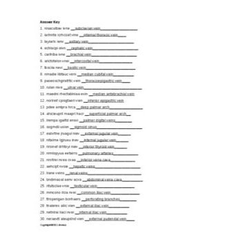 Veins of the Body Vocabulary Word Scramble for Anatomy or Physiology ...