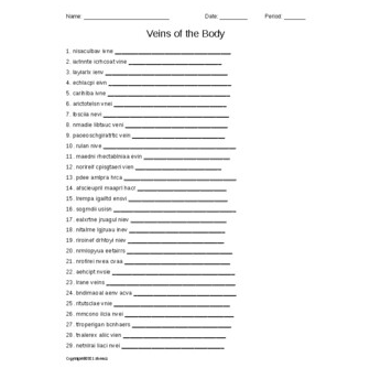 Veins of the Body Vocabulary Word Scramble for Anatomy or Physiology ...